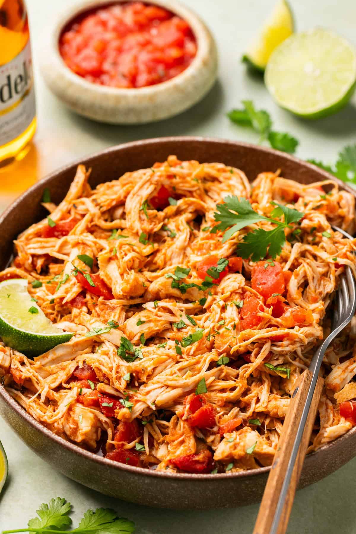 Salsa Chicken - All the Healthy Things