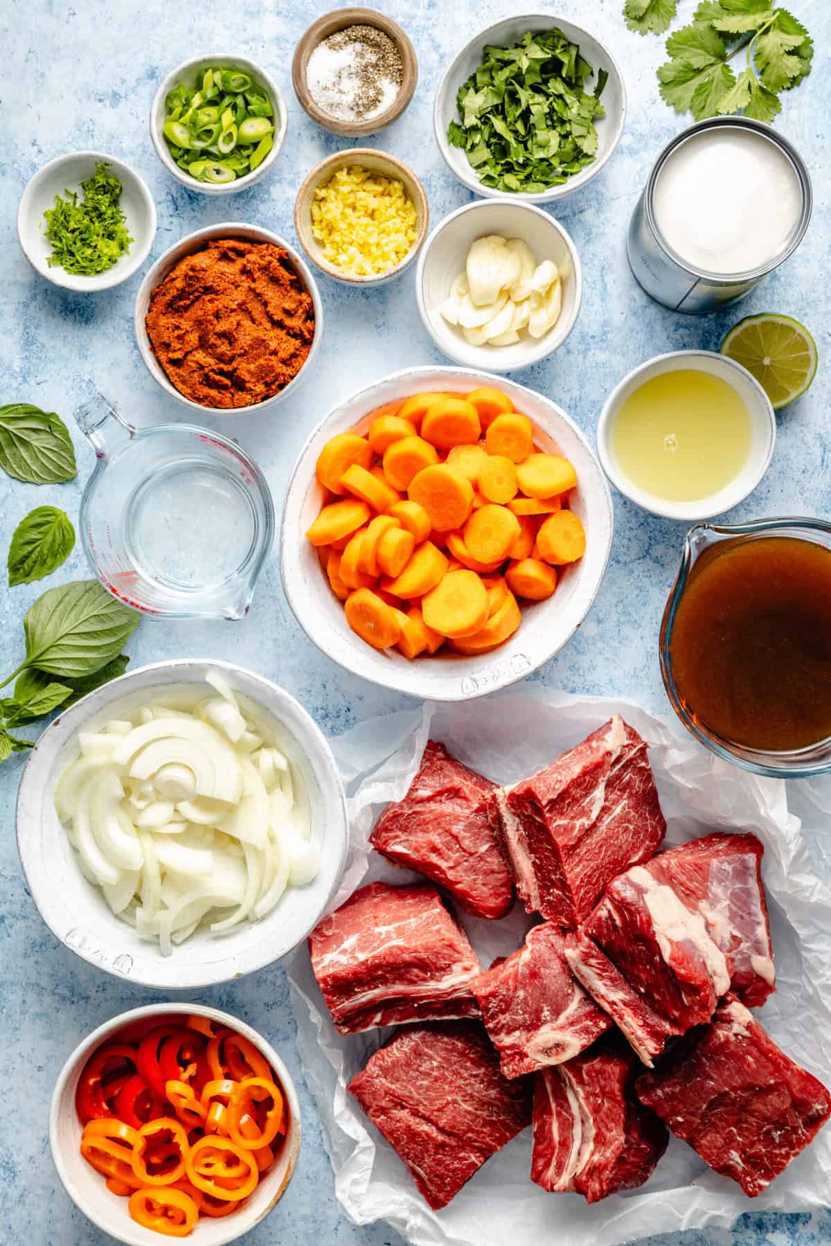 Braised Short Rib Curry - All the Healthy Things