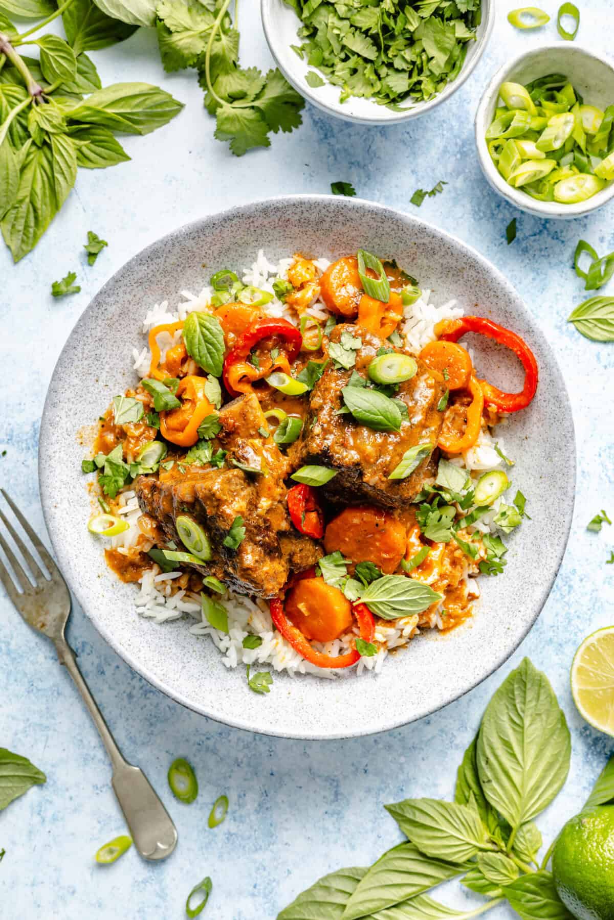 Braised Short Rib Curry - All the Healthy Things