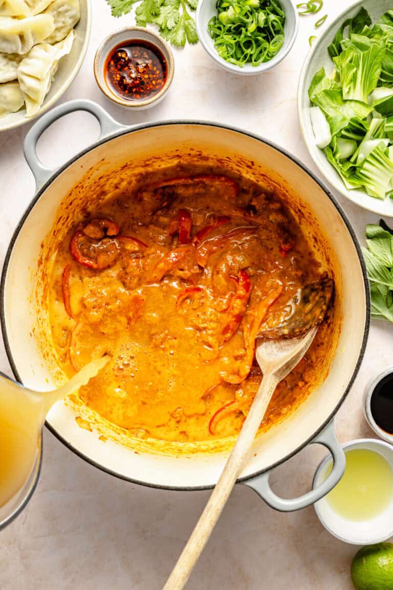 Red Curry Dumpling Soup - All the Healthy Things